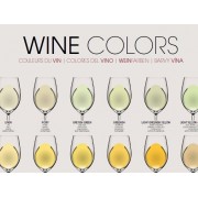 WINE COLORS POSTER